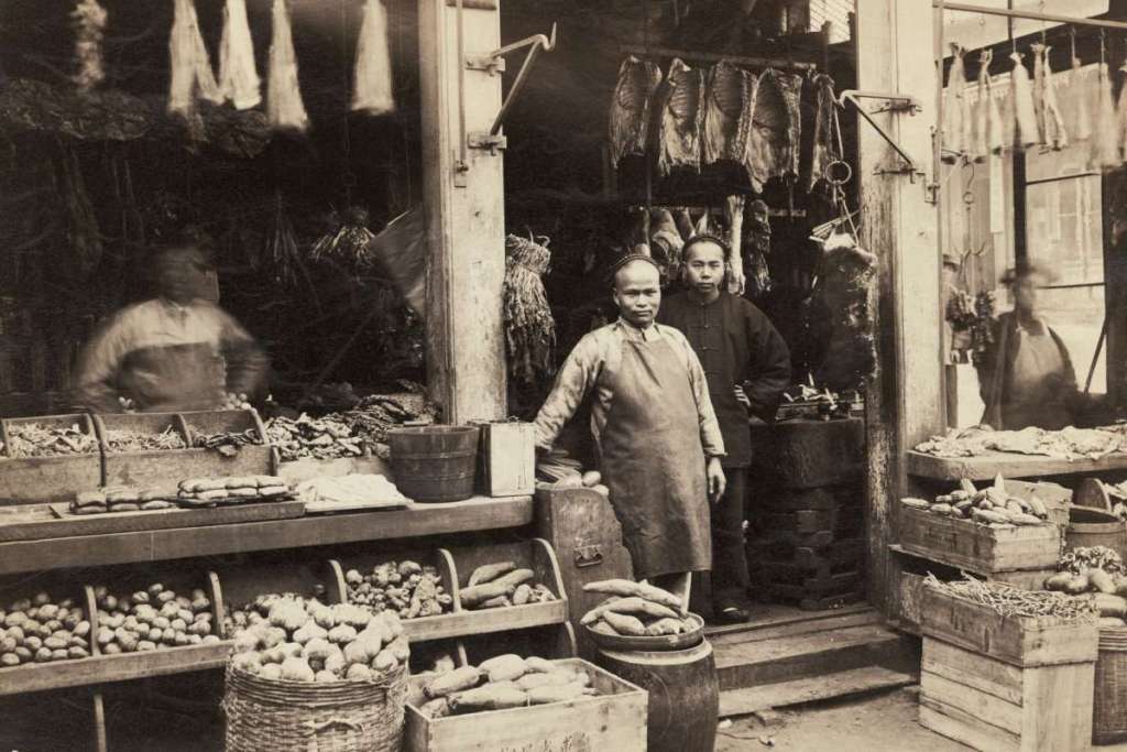 Films Projects – Amplify Asian